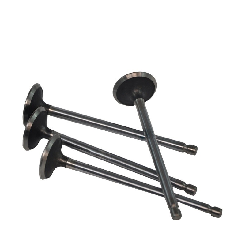 2015 SUNRAY Bus Foton Truck Parts Intake And Exhaust Valve ISF3.8